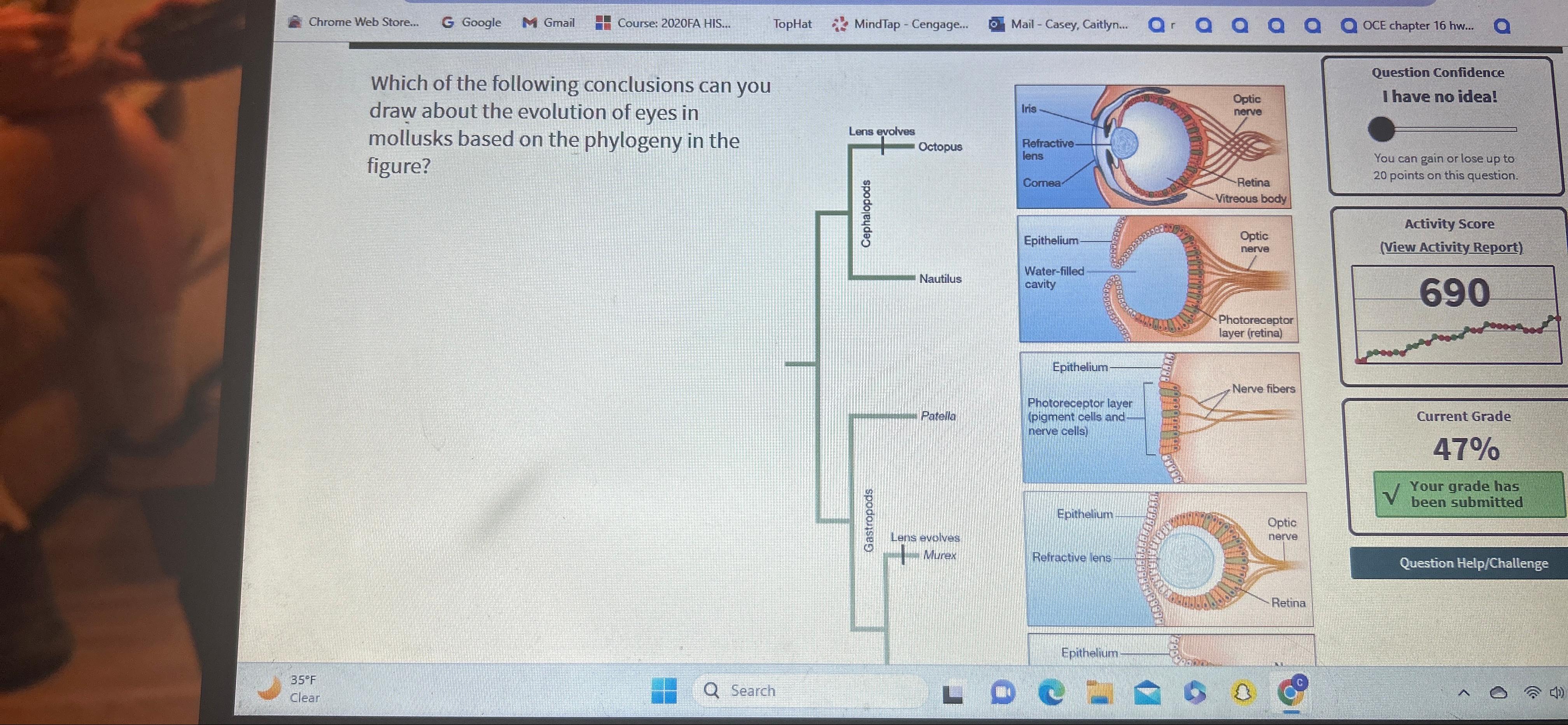 Solved Which of the following conclusions can you draw about | Chegg.com