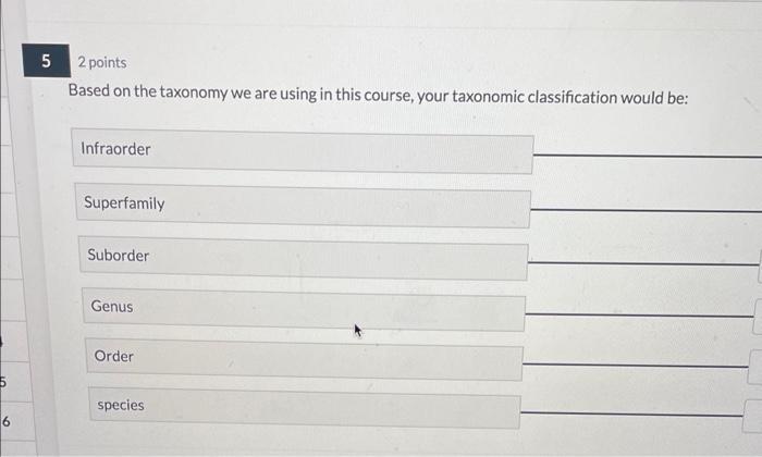 2 points Based on the taxonomy we are using in this | Chegg.com