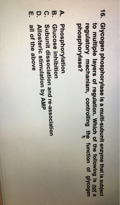 Solved 16. Glycogen phosphorylase is a multi-subunit enzyme | Chegg.com