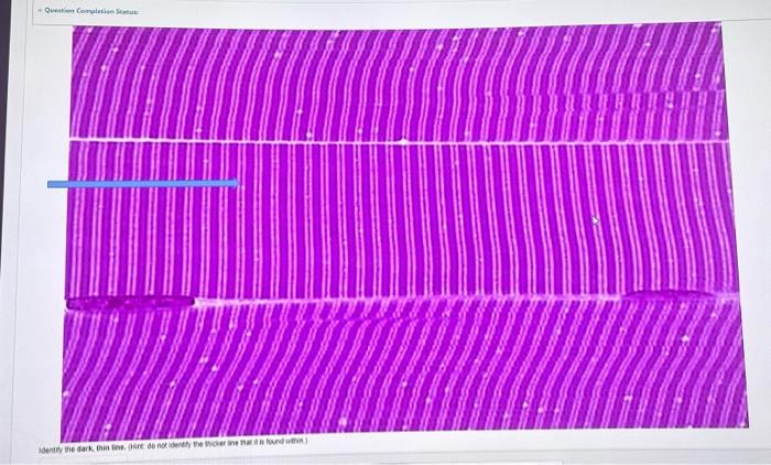 Solved Identify the white suruciuit. QUESTION 2 Identify | Chegg.com Solved Identify the white suruciuit. QUESTION 2 Identify | Chegg.com