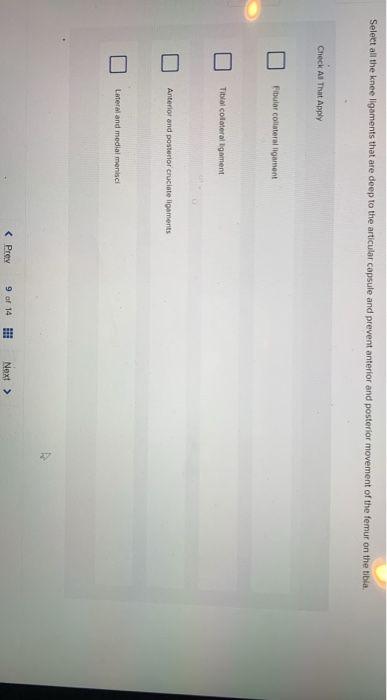 Solved Select all the knee ligaments that are deep to the | Chegg.com