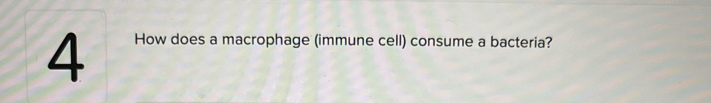 Solved 4How does a macrophage (immune cell) ﻿consume a | Chegg.com