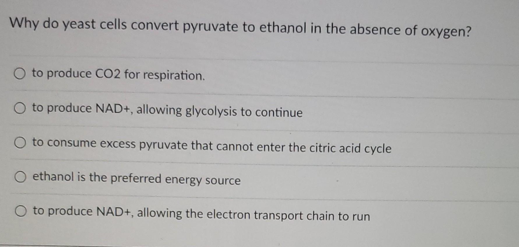 Solved Why do yeast cells convert pyruvate to ethanol in the | Chegg.com