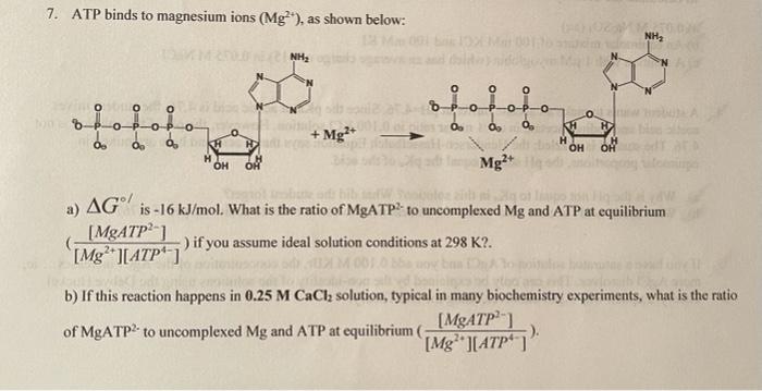 Solved 7. ATP binds to magnesium ions (Mg), as shown below: | Chegg.com