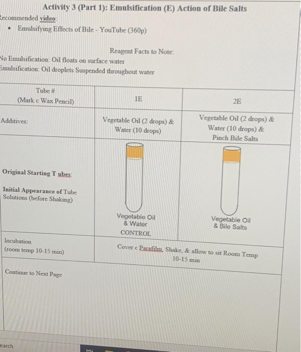 Solved DIGESTION PHYSIOLOGY LAB The following activities | Chegg.com