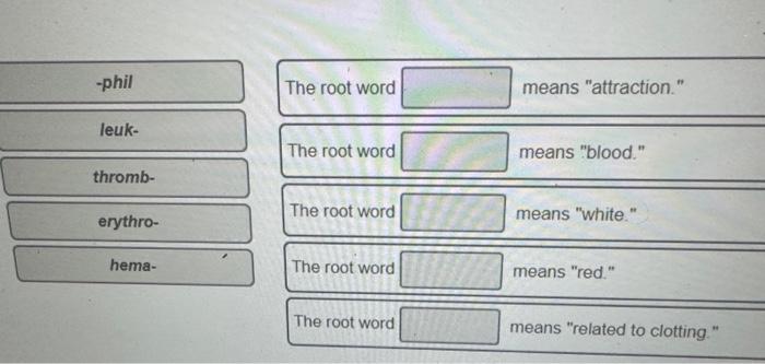 Solved can someone help me label this? | Chegg.com Solved can someone help me label this? | Chegg.com
