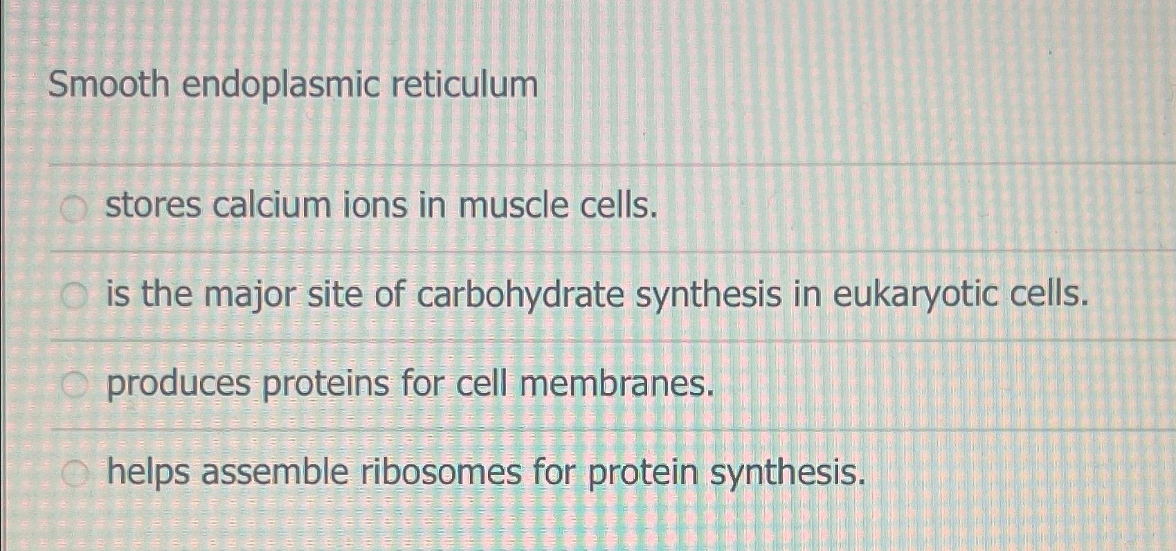Solved Smooth endoplasmic reticulumstores calcium ions in | Chegg.com