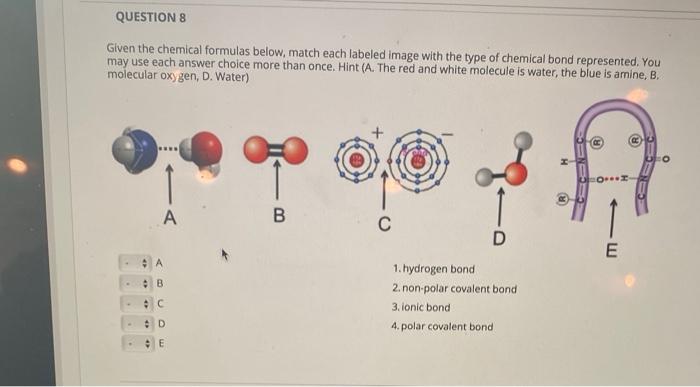 Solved According to the octet rule, atoms with eight | Chegg.com