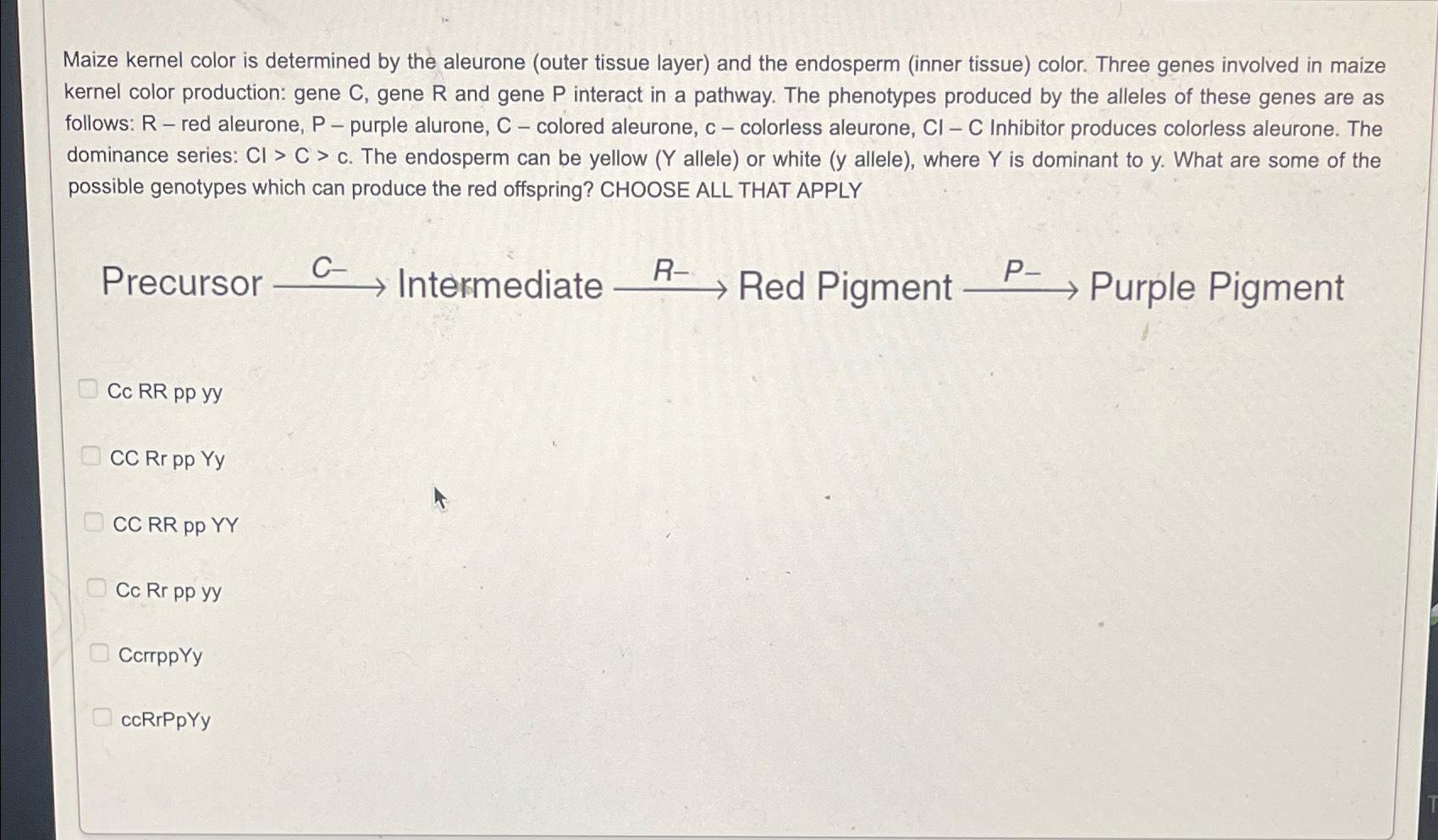 Solved Maize kernel color is determined by the aleurone | Chegg.com