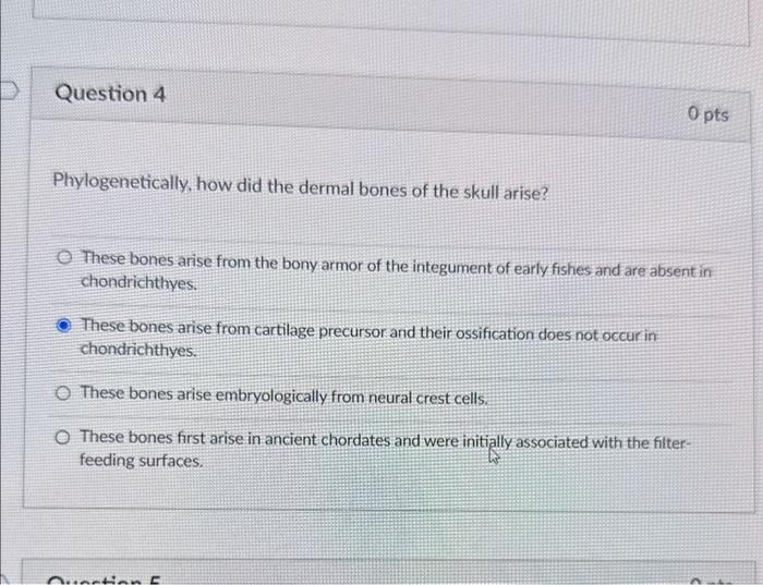 Solved Phylogenetically, how did the dermal bones of the | Chegg.com