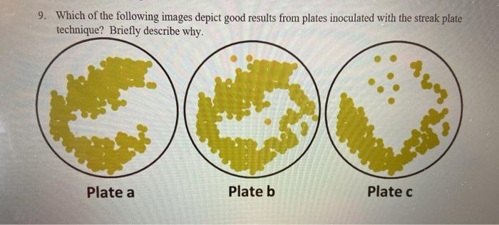 Solved 9. Which of the following images depict good results | Chegg.com