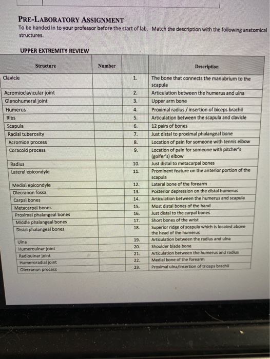 Solved PRE-LABORATORY ASSIGNMENT To be handed in to your | Chegg.com