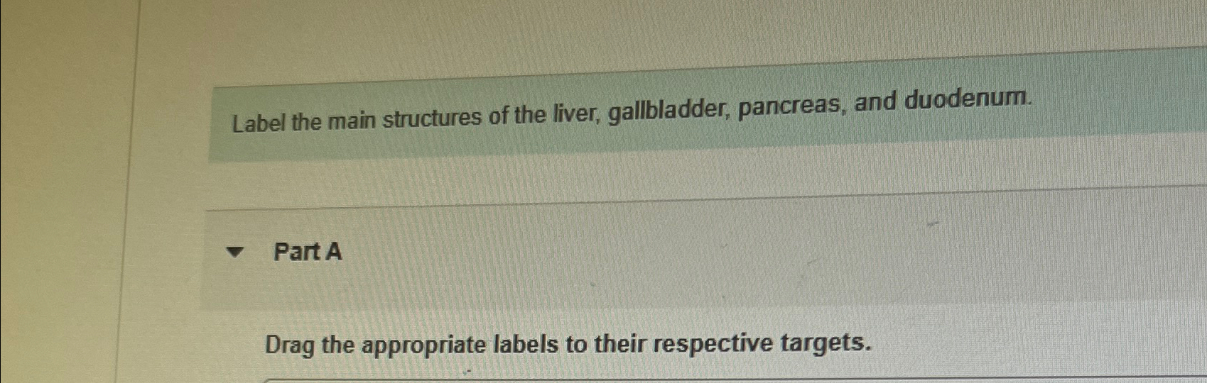 Solved Label the main structures of the liver, gallbladder, | Chegg.com