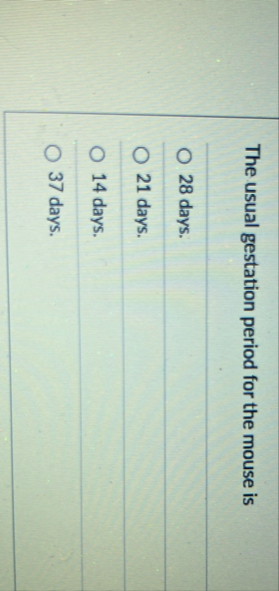 Solved The usual gestation period for the mouse is28 | Chegg.com