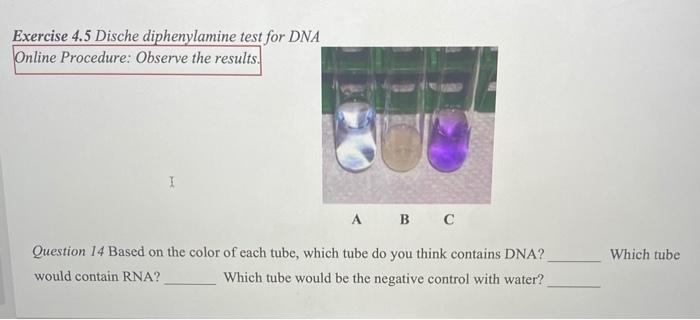 Solved Exercise 4.5 Dische diphenylamine test for DNA Online | Chegg.com