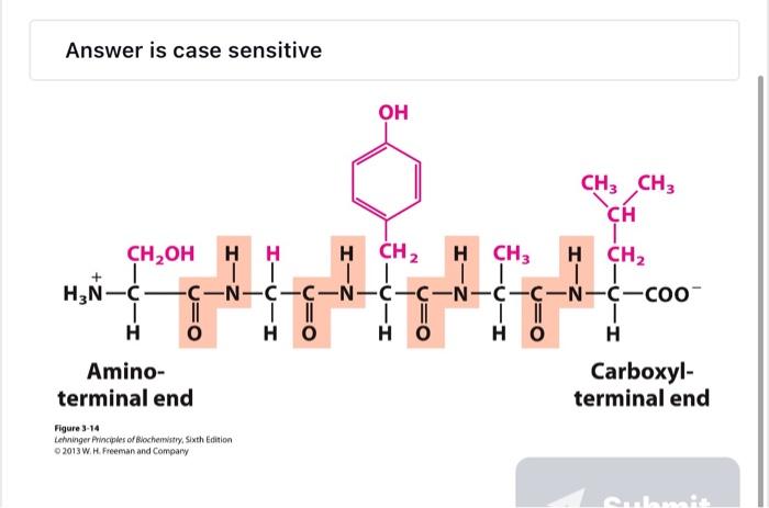 Solved Using the one letter codes, what is the amino acid | Chegg.com