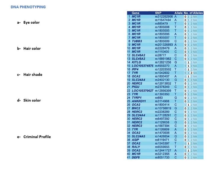 PCR SIMULATION - Label the PCR steps and identify the | Chegg.com
