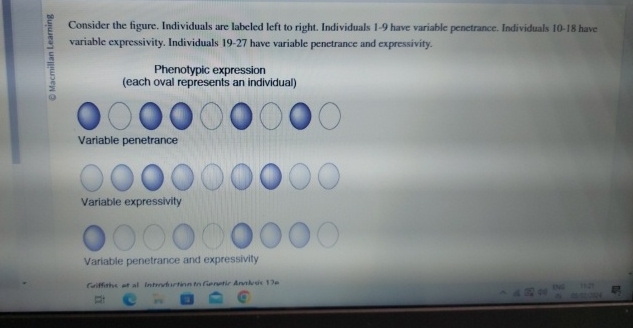 Solved Consider The Figure Individuals Are Labeled Left To 1357
