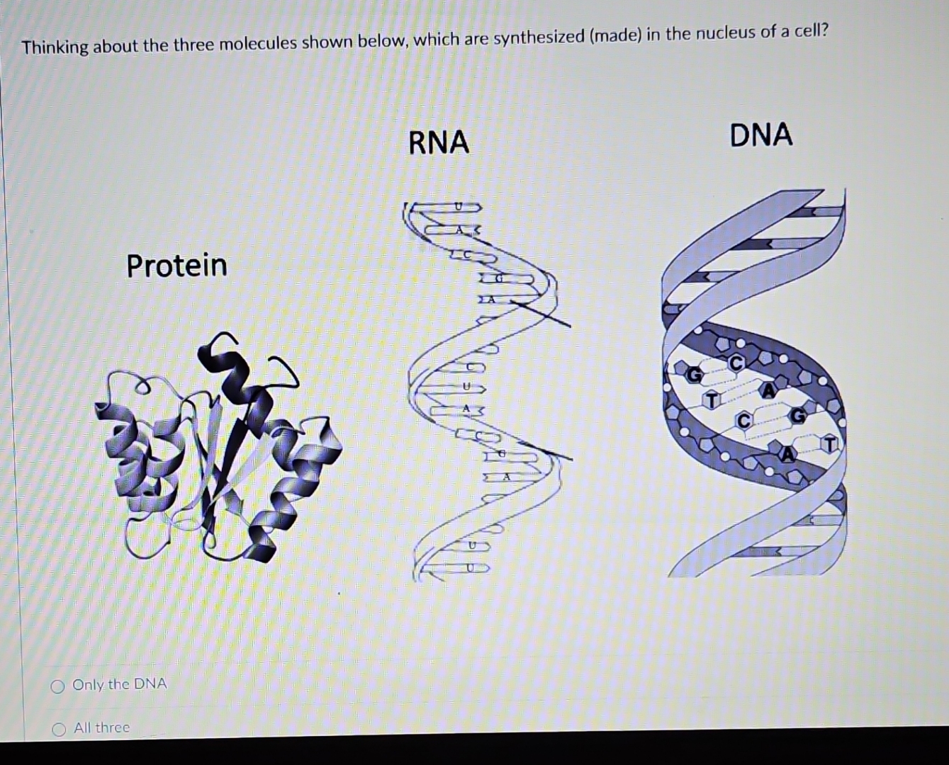 Solved Thinking about the three molecules shown below, which | Chegg.com