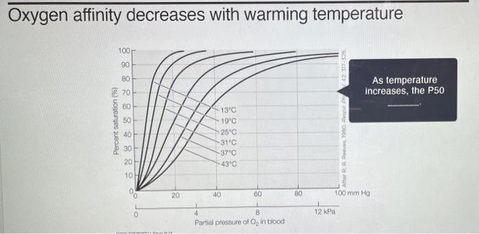 Solved Oxygen affinity decreases with warming temperature | Chegg.com