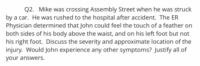 Rubic:- easy to follow- well structured/organized- | Chegg.com