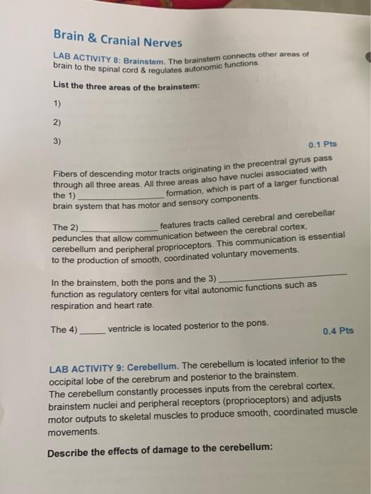 Solved Brain & Cranial Nerves LAB ACTIVITY 8: Brainstem. The | Chegg.com