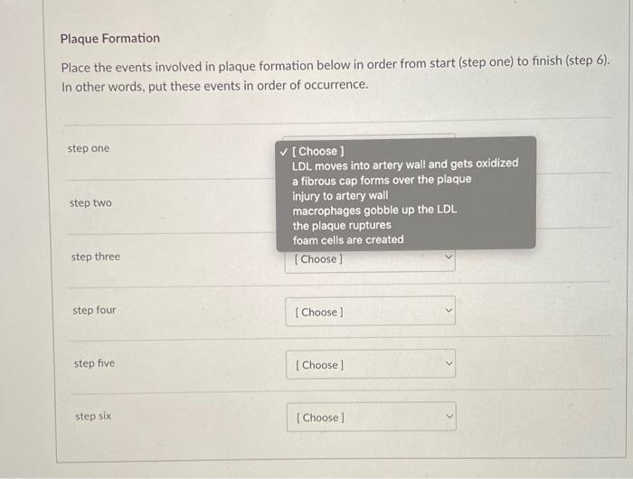 Solved Plaque Formation Place the events involved in plaque | Chegg.com