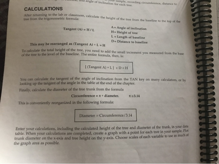 Lite, and angle of inclination for each tree. | Chegg.com