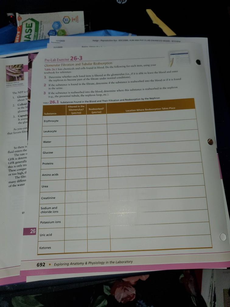 Solved hp PRE-LAB EXERCISES whether EXE T. he Pre Lab | Chegg.com