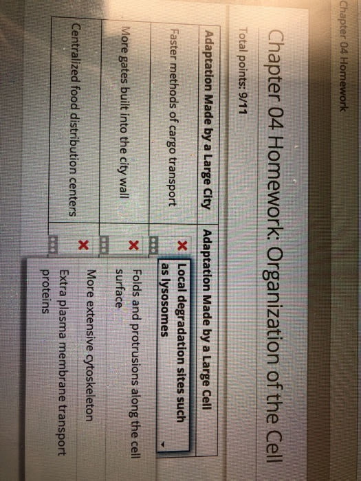 Solved Chapter 04 Homework Chapter 04 Homework: Organization | Chegg.com