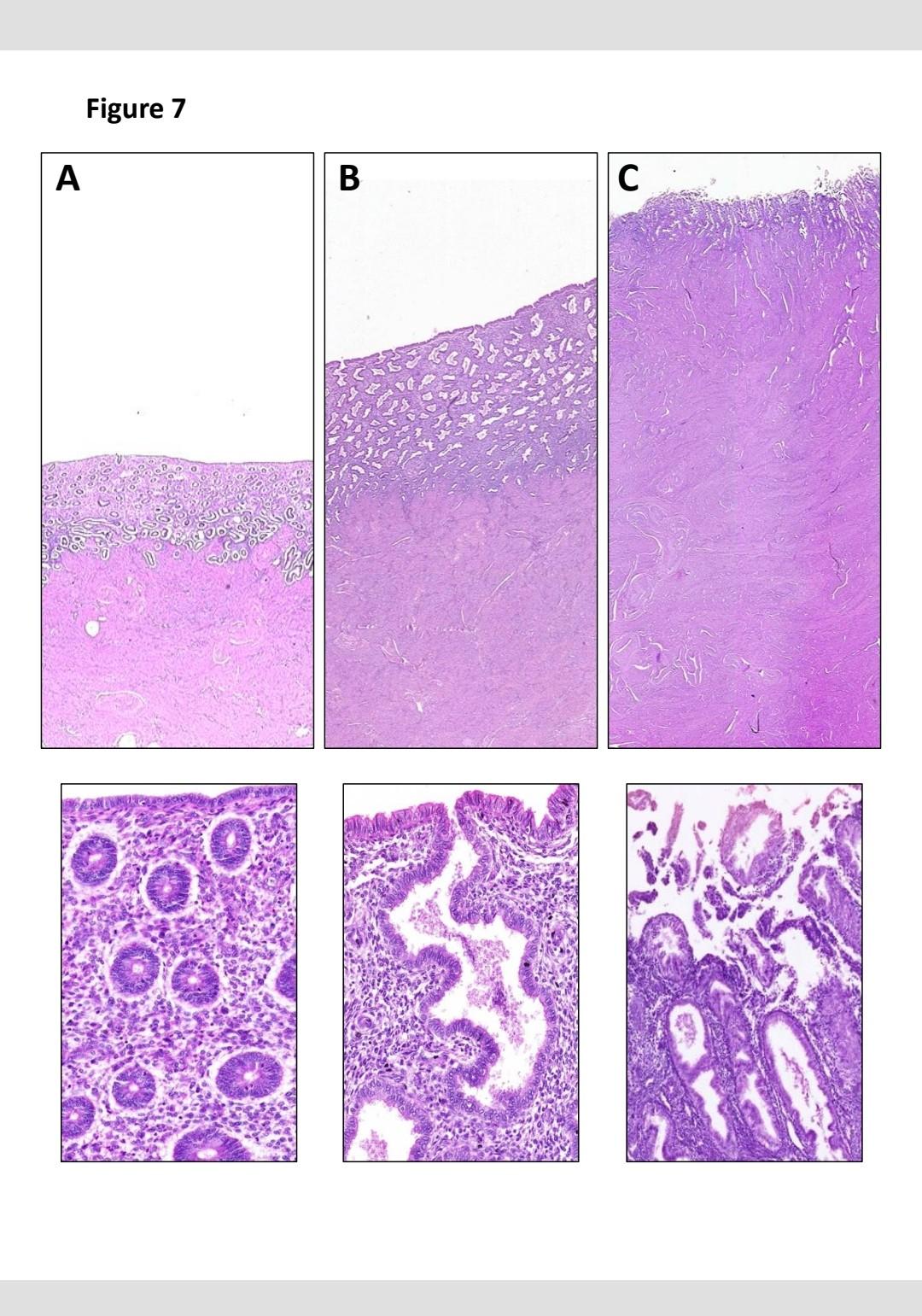 Solved A Figure 7 00 B C A Figure 7 00 B C | Chegg.com