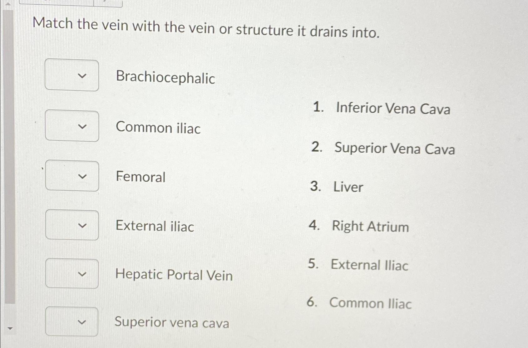 Solved Match the vein with the vein or structure it drains | Chegg.com