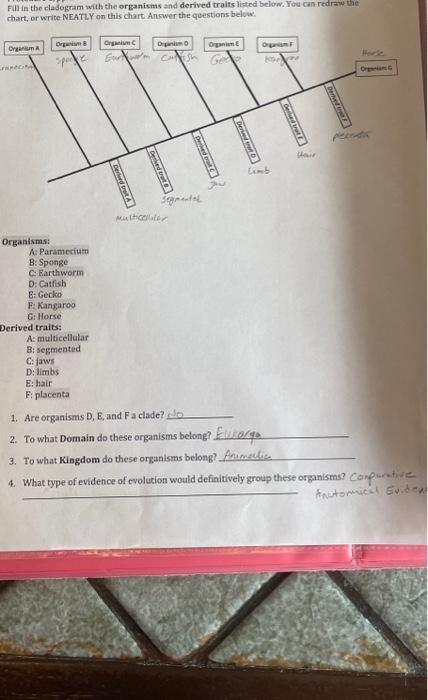 Solved Fill in the cladogram with the organisms and derived | Chegg.com