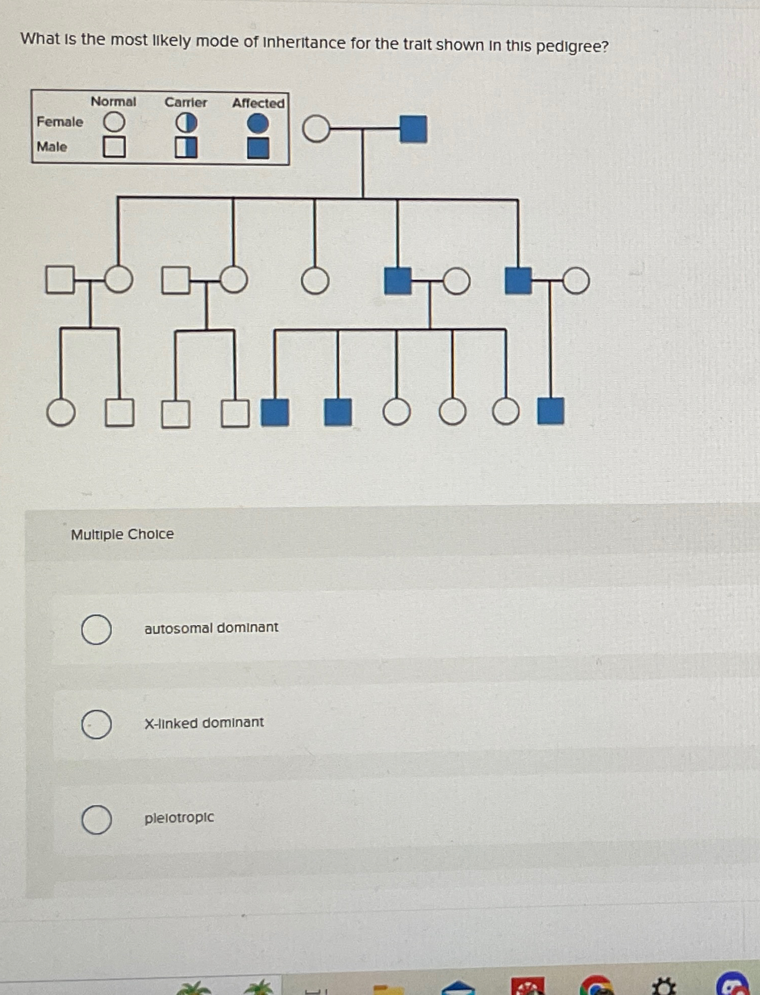 Solved What is the most likely mode of inheritance for the | Chegg.com