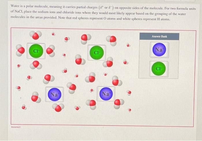 Solved Water is a polar molecule, meaning it carries partial | Chegg.com