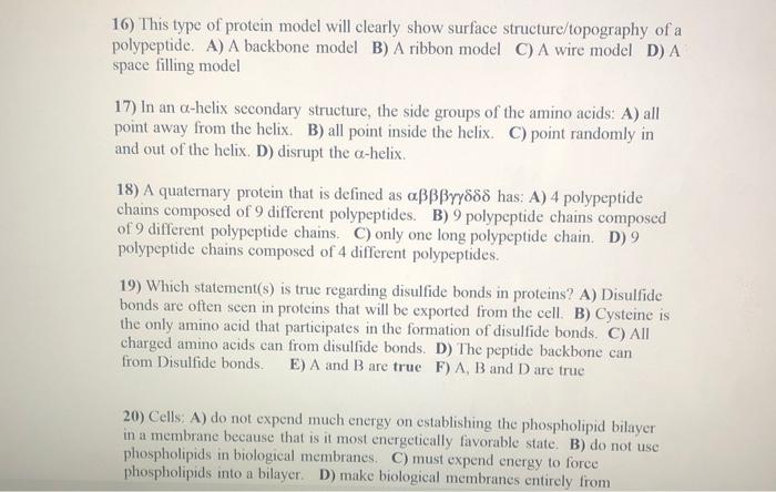 Solved 16) This type of protein model will clearly show | Chegg.com