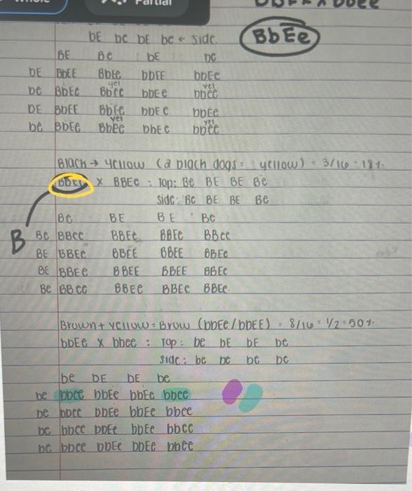 Solved can you double check to make sure we did this | Chegg.com