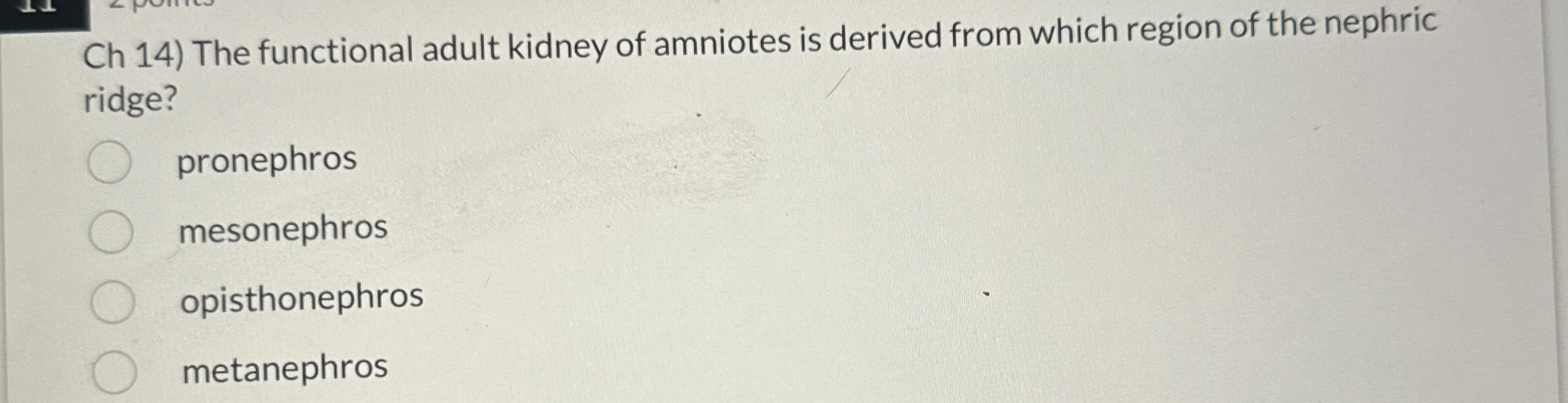 Solved The functional adult kidney of amniotes is derived | Chegg.com