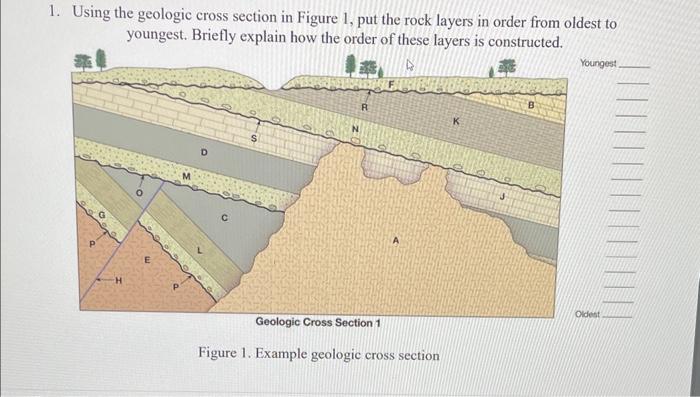 Solved 1. Using the geologic cross section in Figure 1, put | Chegg.com