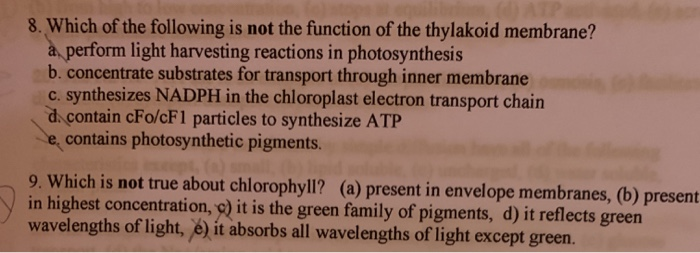 Solved 8. Which of the following is not the function of the | Chegg.com
