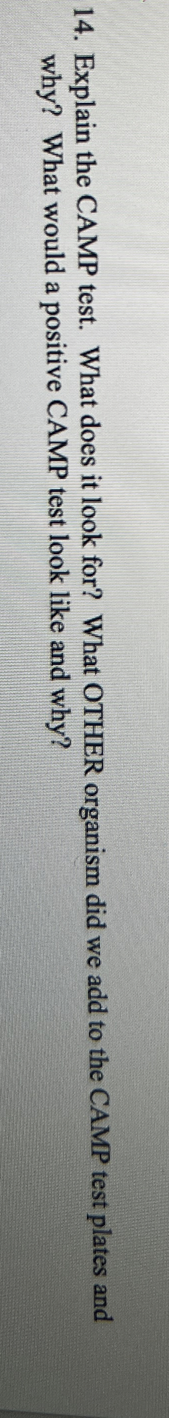 Solved Explain the CAMP test. What does it look for? What | Chegg.com