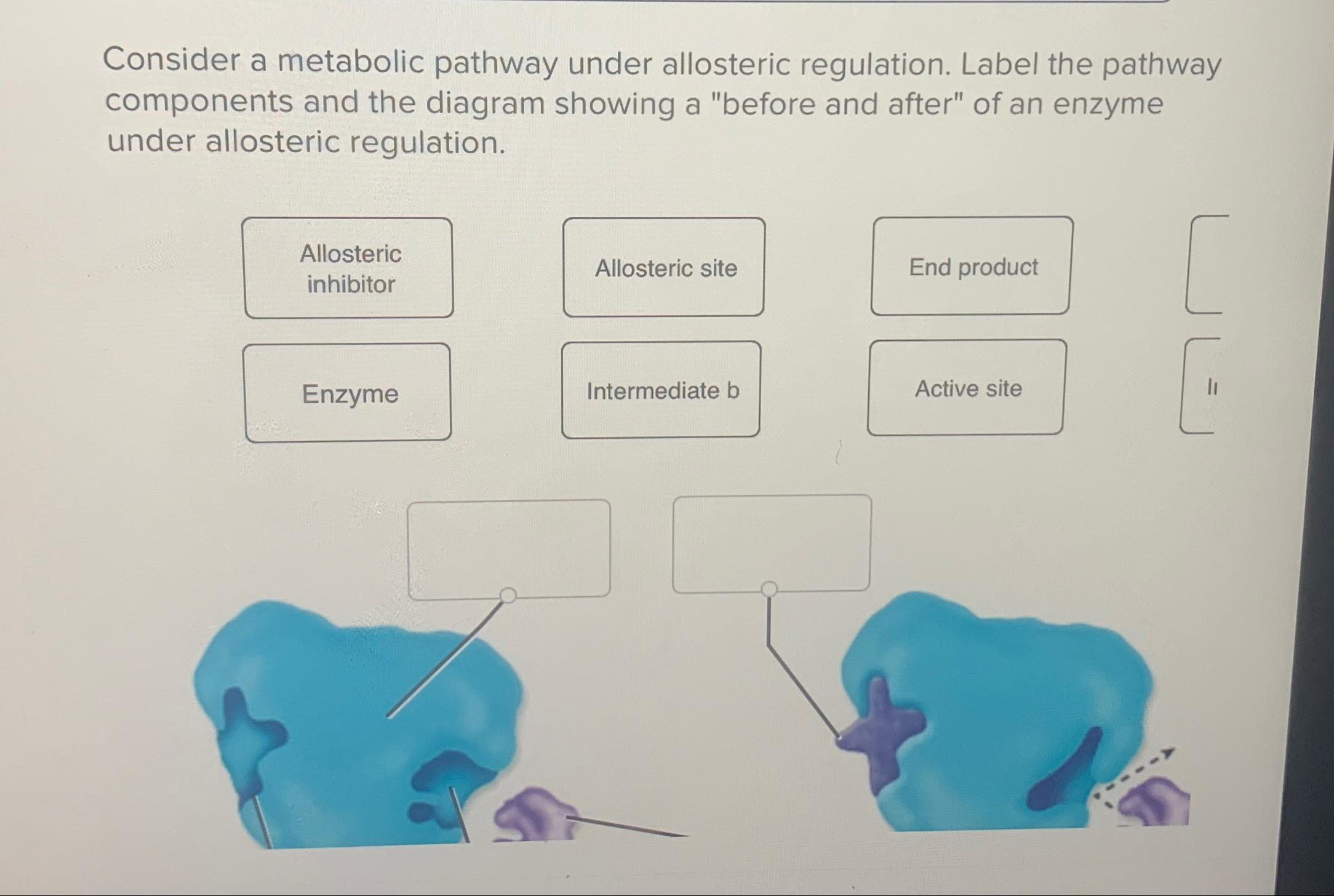 Solved Consider a metabolic pathway under allosteric | Chegg.com