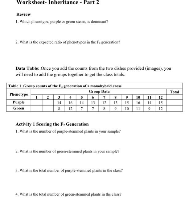 Solved Inheritance in Wisconsin Fast Plants - Part 2 | Chegg.com