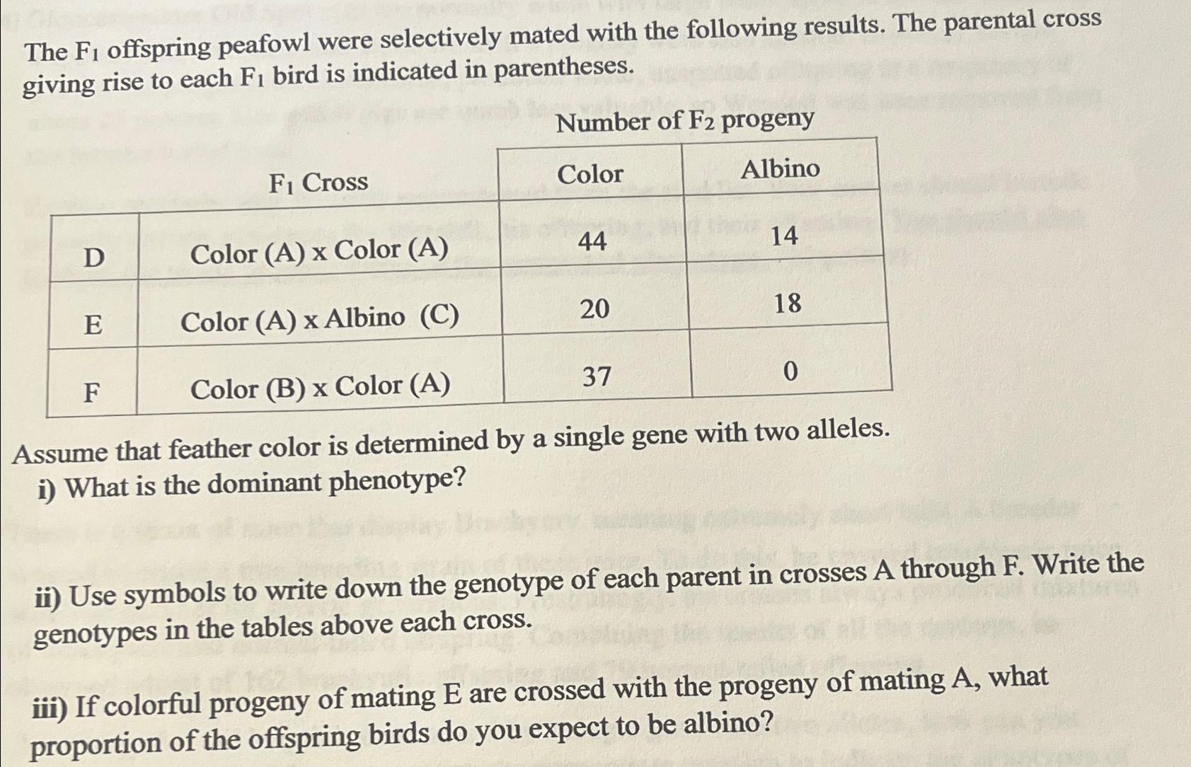 Solved The F1 ﻿offspring peafowl were selectively mated with | Chegg.com