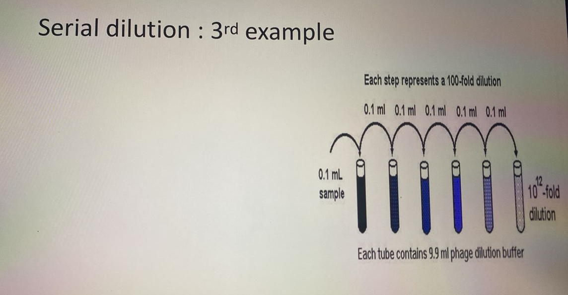 Serial dilution : 3rd exampleEach step represents a | Chegg.com