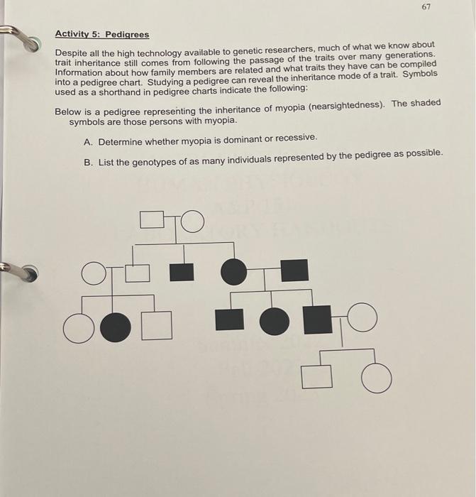 Solved 2. Tay-Sachs disease is inherited as a recessive | Chegg.com