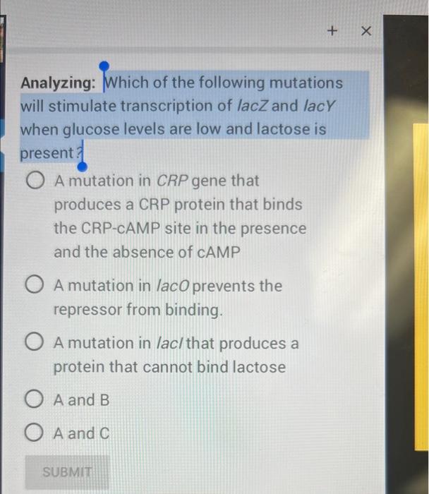 Solved Analyzing: Which of the following mutations will | Chegg.com