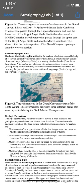 Figure 5. Some fossil ranges zones for different | Chegg.com