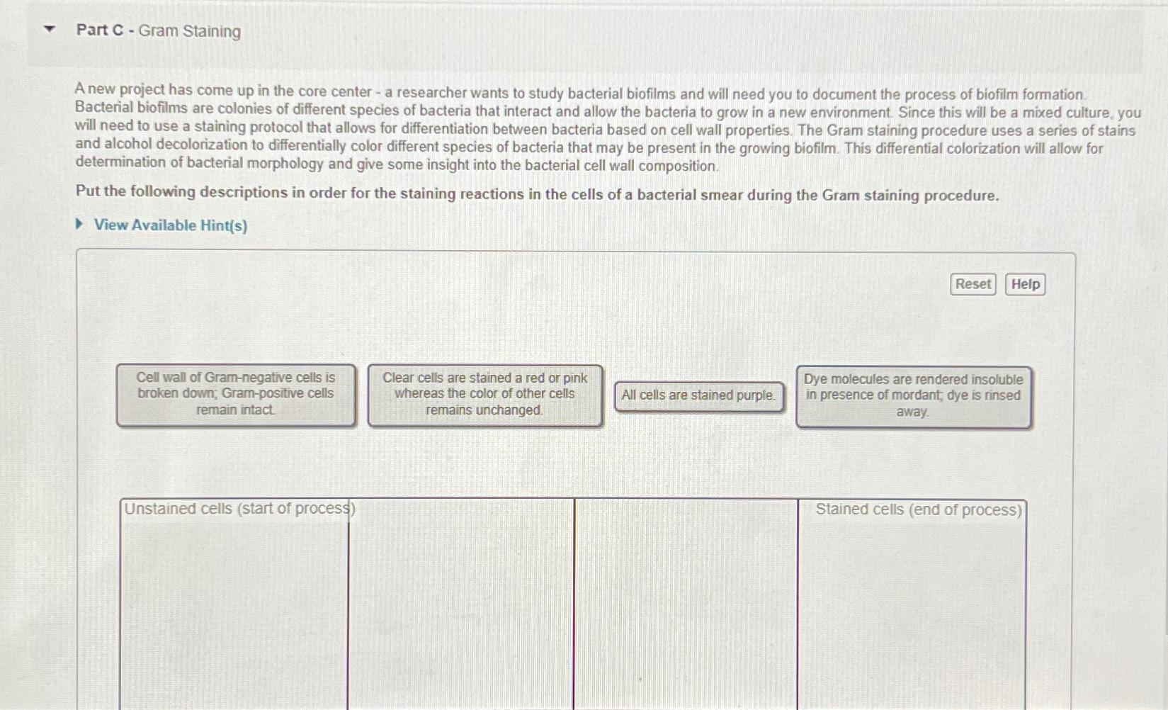 Solved Part C - ﻿Gram StainingA new project has come up in | Chegg.com