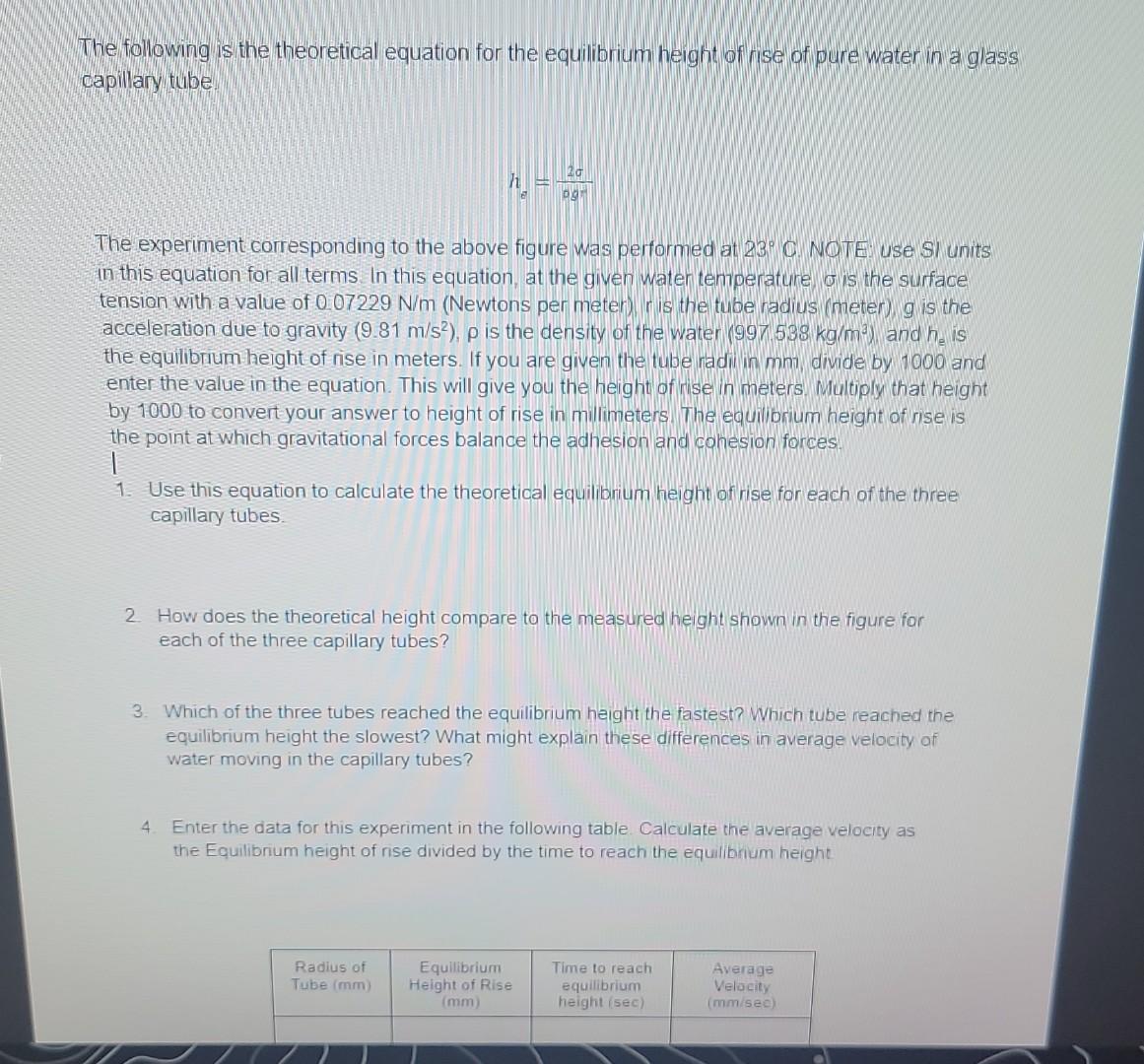 Solved The following is the theoretical equation for the | Chegg.com
